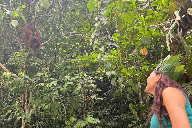 3 Days Orangutan Sumatra Jungle Trekking with Rafting - A Detailed Breakdown of the Itinerary