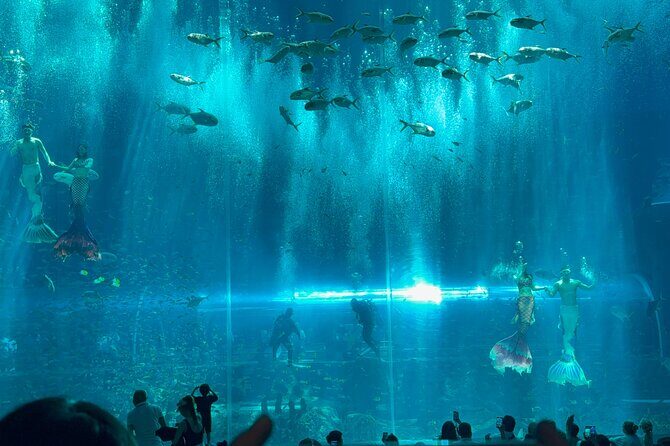 3 Days Phu Quoc Island Tour: Vinwonder, Safari, Snorkeling, Show - An In-Depth Look at the 3-Day Phu Quoc Tour