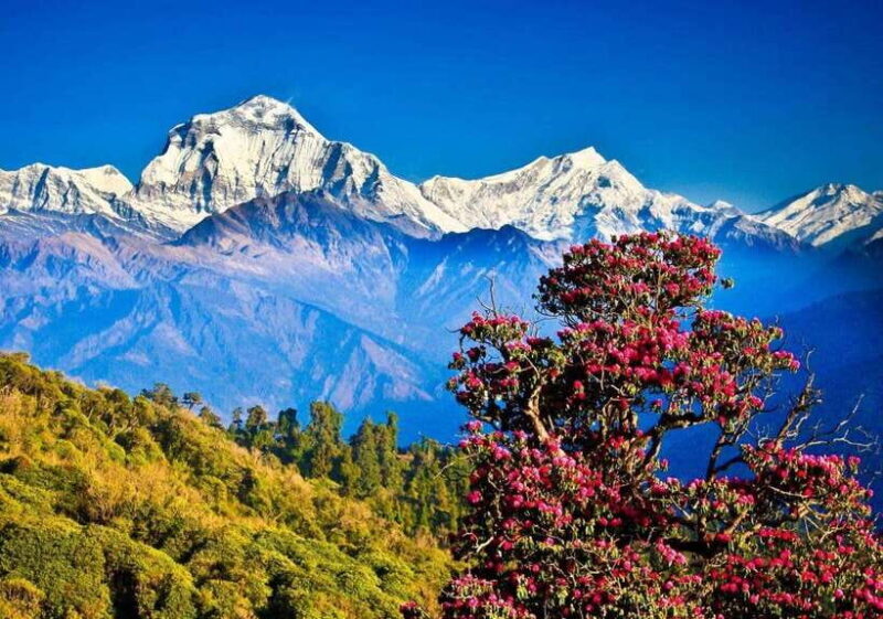 3 Days Pokhara Tour from Kathmandu - Key Points