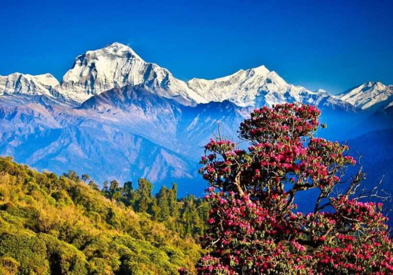 3 Days Pokhara Tour from Kathmandu - Final Thoughts