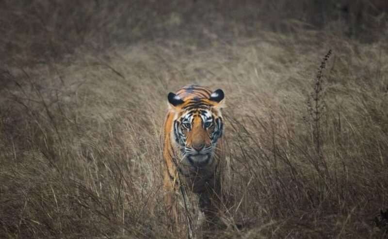 3-Days Private Luxury Golden Triangle Tour Agra Jaipur Delhi - Final Thoughts: Is It Worth It?