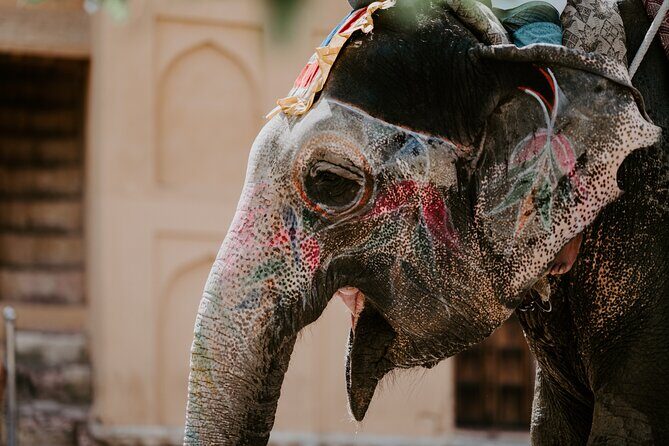 3-Days Private Luxury Golden Triangle Tour ( Delhi, Agra and Jaipur ) - Final Thoughts