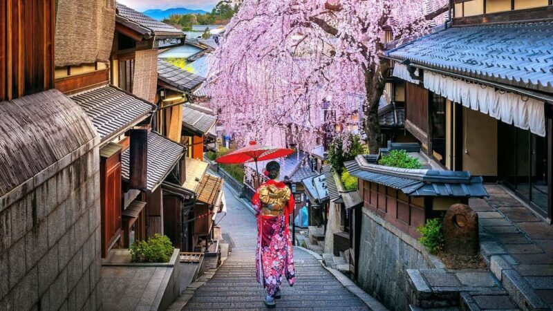 3 Days Private Osaka Kyoto and Nara Tour with English Driver - Key Points