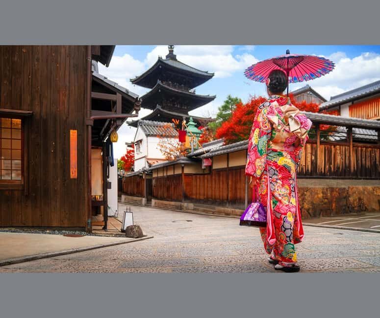 3 Days Private Osaka Kyoto and Nara Tour with English Driver - Who Will Love This Tour?