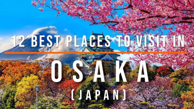 3 Days Private Osaka Kyoto and Nara Tour with English Driver - The Sum Up