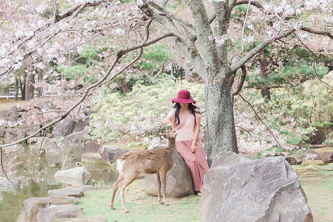 3 Days Private Osaka Kyoto and Nara Tour with English Driver - Authentic Experiences and Practical Insights