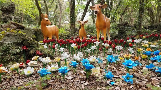 3 days Private Taxi Tour in Jeju Island - Key Points