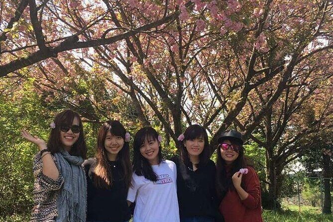 3 days Private Taxi Tour in Jeju Island - Final Thoughts