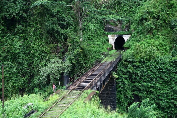 3 Days Private Tour in Sri Lanka - Key Points