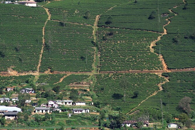 3 Days Private Tour in Sri Lanka - Day 2: Nature, Architecture, and Waterfalls