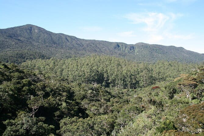 3 Days Private Tour in Sri Lanka - The Sum Up: Is This Sri Lanka Tour for You?