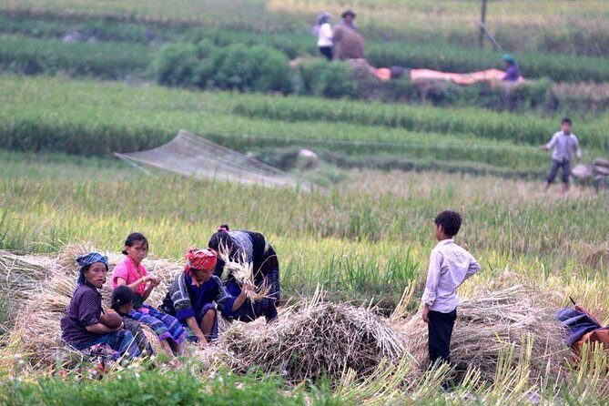 3 Days SAPA Real Experience at Local People House - Frequently Asked Questions