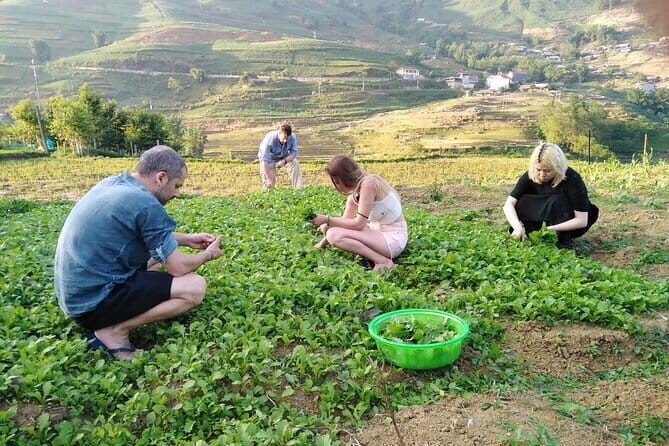 3-Days Sapa Trekking With Local Guide Overnight in Tavan Village - An In-Depth Look at the 3-Day Sapa Trekking Experience