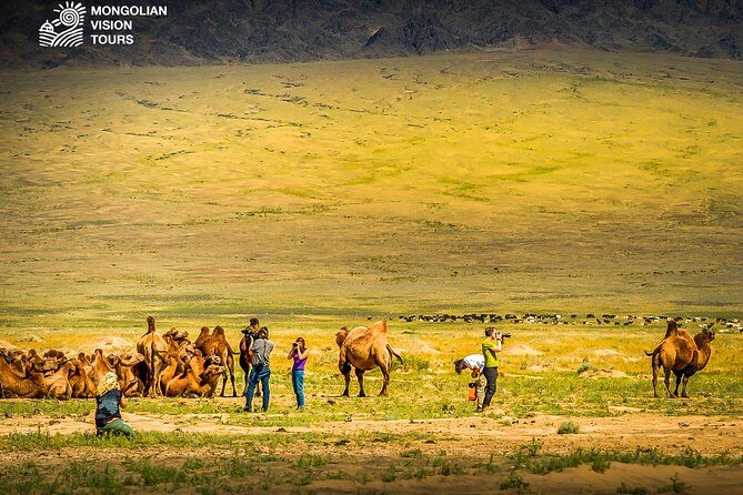 3 days Semi Gobi Desert and Chinggis Khaan Statue - Introduction to the Experience
