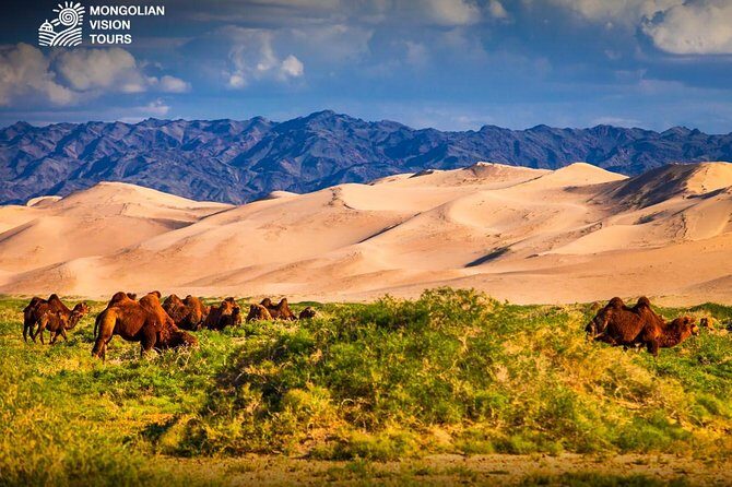 3 days Semi Gobi Desert and Chinggis Khaan Statue - Authenticity and Traveler Feedback