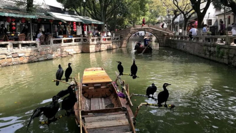 3 Days Shanghai & Suzhou Private City Tour - Who Will Love This Tour?
