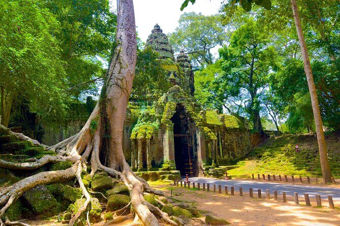 3 Days Siem Reap Explorer - Small Group - Transport and Logistics