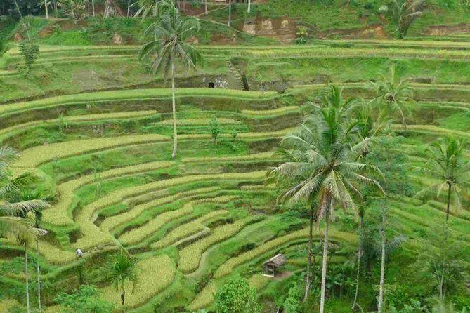 3 Days Sightseeing to the Famous Place in Bali - The Sum Up