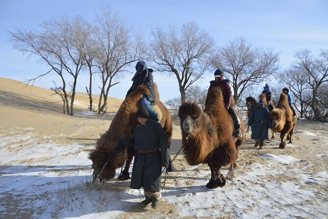 3 Days Silence-White Winter Tour - A Deep Dive into the Experience