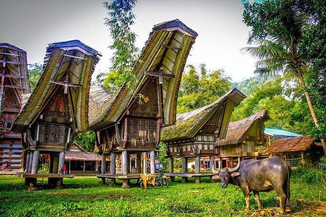 3 Days Tana Toraja from Makassar: Kete Kesu Village, Menhir to Funeral Burial - A Practical Breakdown of the 3-Day Tana Toraja Experience