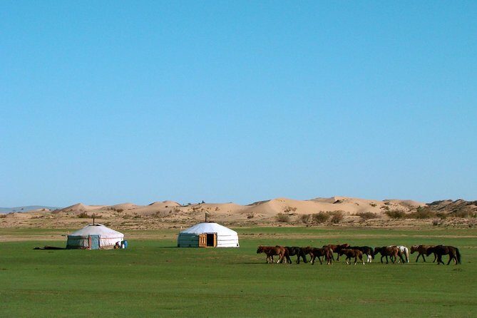 3 Days Three different natural zone and Ancient capital city - An Introduction to Mongolia’s Diverse Heartland