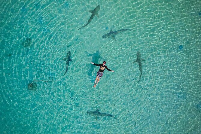 3 Days Tioman Island Package from Singapore (Private tour) - Who Will Love This Tour?