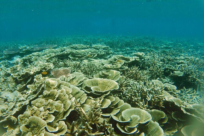 3 Days Tioman Island Package from Singapore (Private tour) - The Sum Up