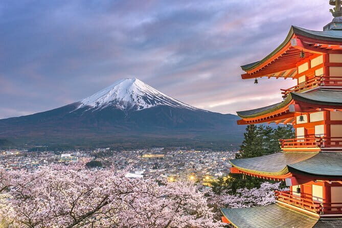 3 Days Tokyo, Mount Fuji and Nikko Private Tour - Key Points