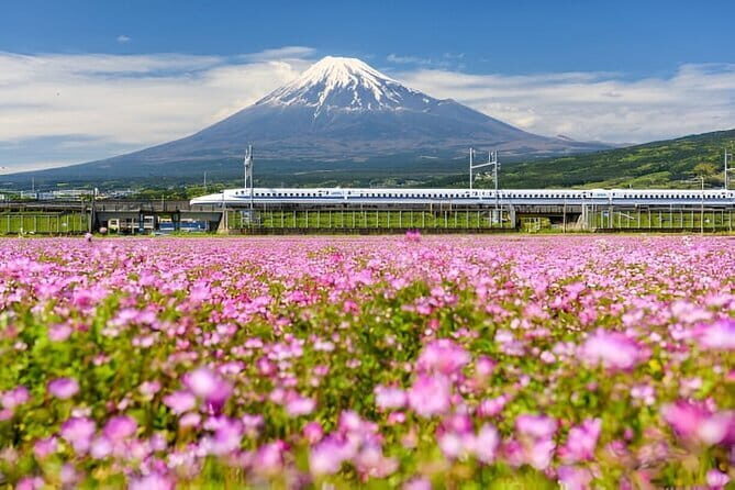 3 Days Tokyo, Mount Fuji and Nikko Private Tour - Who Should Consider This Tour?