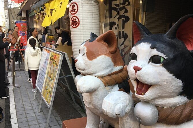 3 Days Tokyo, Mount Fuji and Nikko Private Tour - FAQs: Practical Questions About the Tour