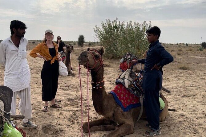 3 Days Tour in Wild Desert Safari - An In-depth Look at the 3-Day Desert Safari