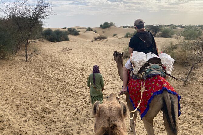 3 Days Tour in Wild Desert Safari - Final Thoughts