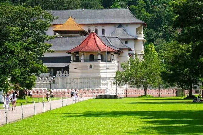 3 Days Tour to Kandy Nuwara Eliya & Sigiriya from Colombo - Who Should Book This Tour?