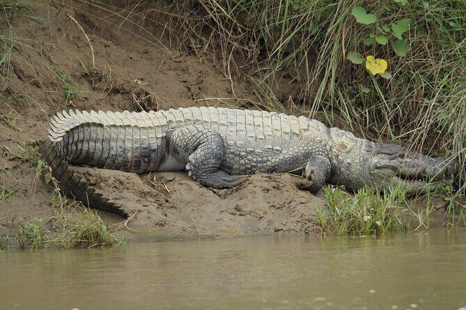 3-Days Tower Night Stay inside Jungle Tour - The Practical Details