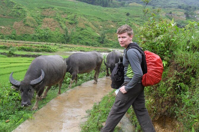 3 days trekking to Sapa valley - Who Should Consider This Tour?