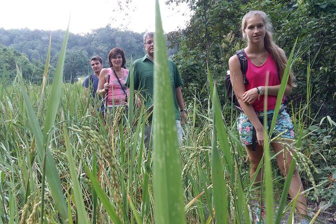 3 Days Trekking Tour to Mae Wang Jungle from Chiang Mai - Final Thoughts: Who Will Enjoy This Tour?