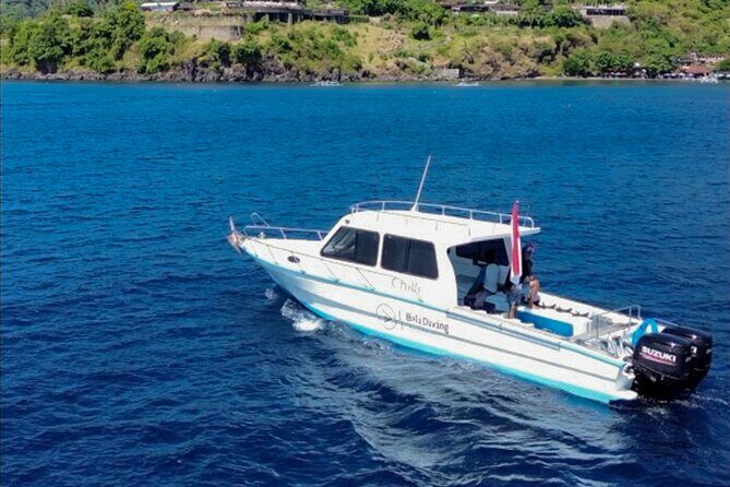 3 Epic Dives in Nusa Penida - Certified Divers' Day Trip - Detailed Dive Site Insights