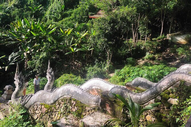 3 experiences: Doi Suthep Temple, Wat Phalat & Elephants - Who Will Love This Tour?