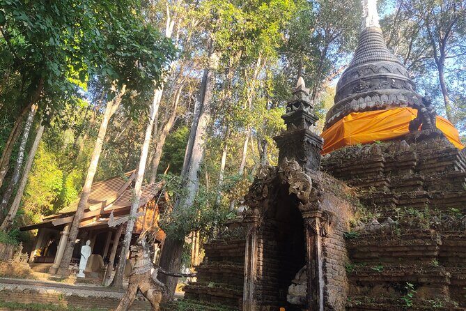3 experiences: Doi Suthep Temple, Wat Phalat & Elephants - Final Words