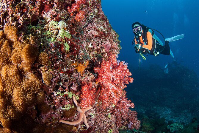 3 Fun Dives in Phi Phi islands for Certified Divers - FAQ