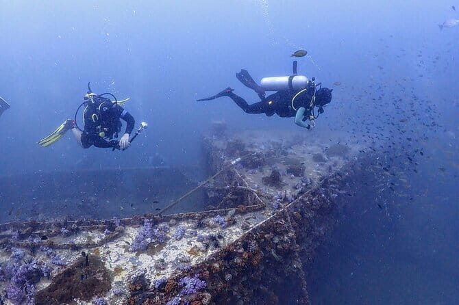 3 Fun dives in Phi Phi islands for Certified Divers - Final Thoughts: Is This Tour Right for You?