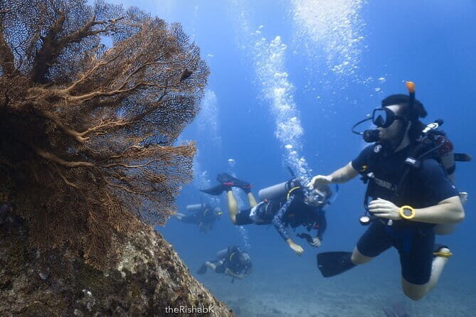 3 Fun Dives King Cruiser Wreck and Koh DokMai for Certified diver - FAQ