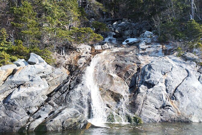 3 Hour Alaska Waterfalls Tour - What Do the Reviews Say?