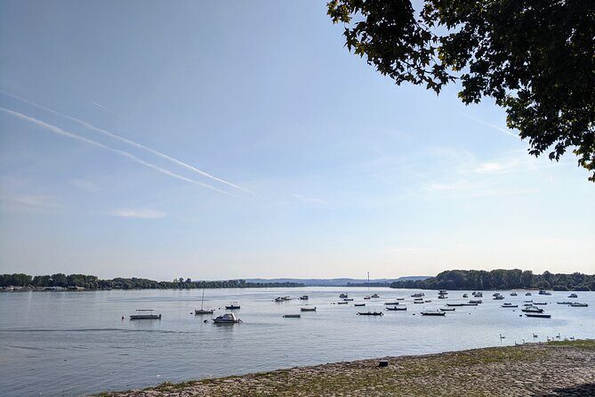 3-Hour Belgrade Zemun Neighborhood Tour - What to Keep in Mind