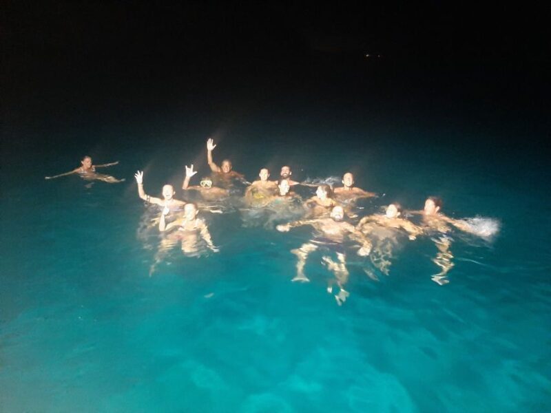 3-hour boat trip at sunset with the sighting Delfini - Who Will Love This Tour?