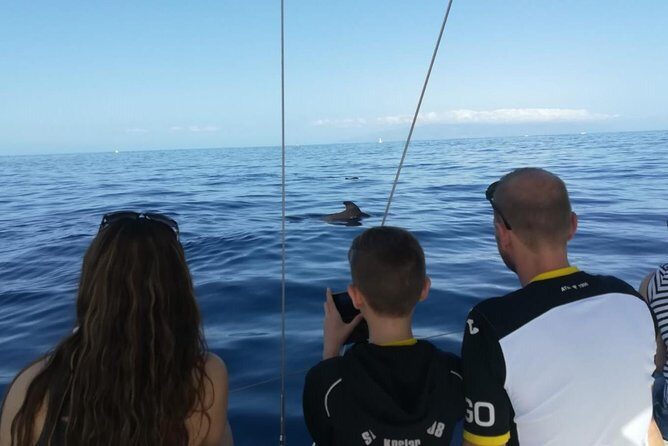 3-Hour Boat Trip from Costa Adeje in Tenerife - FAQ