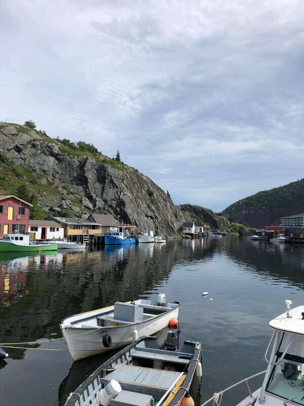 3 hour City Tour of St. John's, small group up to ten quests - Key Points