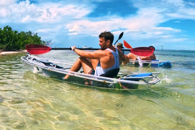 3-Hour Clear Kayak Beach Hopping Adventure in Sarasota - Authentic Traveler Feedback (Based on Reviews)