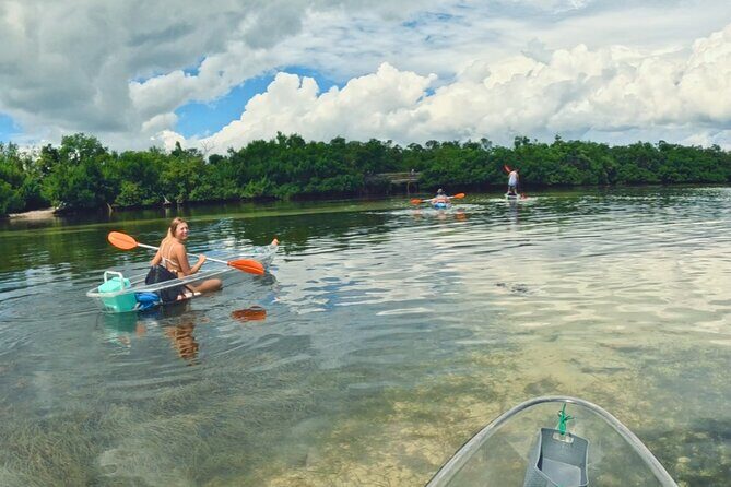 3-Hour Clear Kayak Beach Hopping Adventure in Sarasota - Why This Tour Is a Good Choice for Your Sarasota Vacation