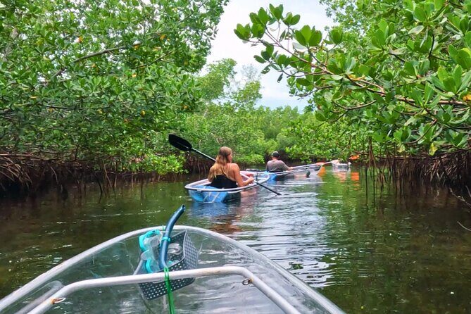 3-Hour Clear Kayak Beach Hopping Adventure in Sarasota - FAQ